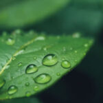 X410 - X Server for Windows 10 and Beyond